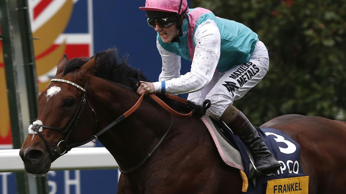 Frankel starts his new life as super stud - Eurosport