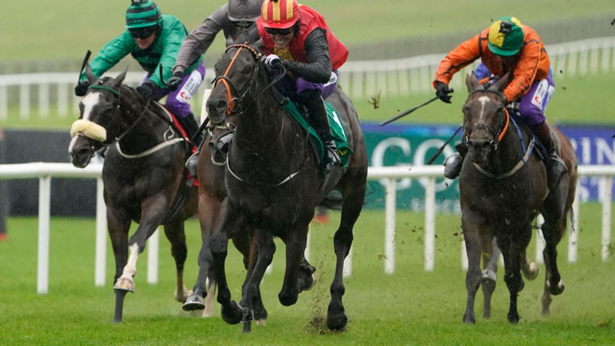 Irish St Leger geht an Search For A Song - Eurosport