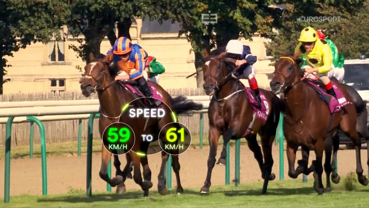 Sports Explainer Longines : Gagner une course hippique, c'est une ...