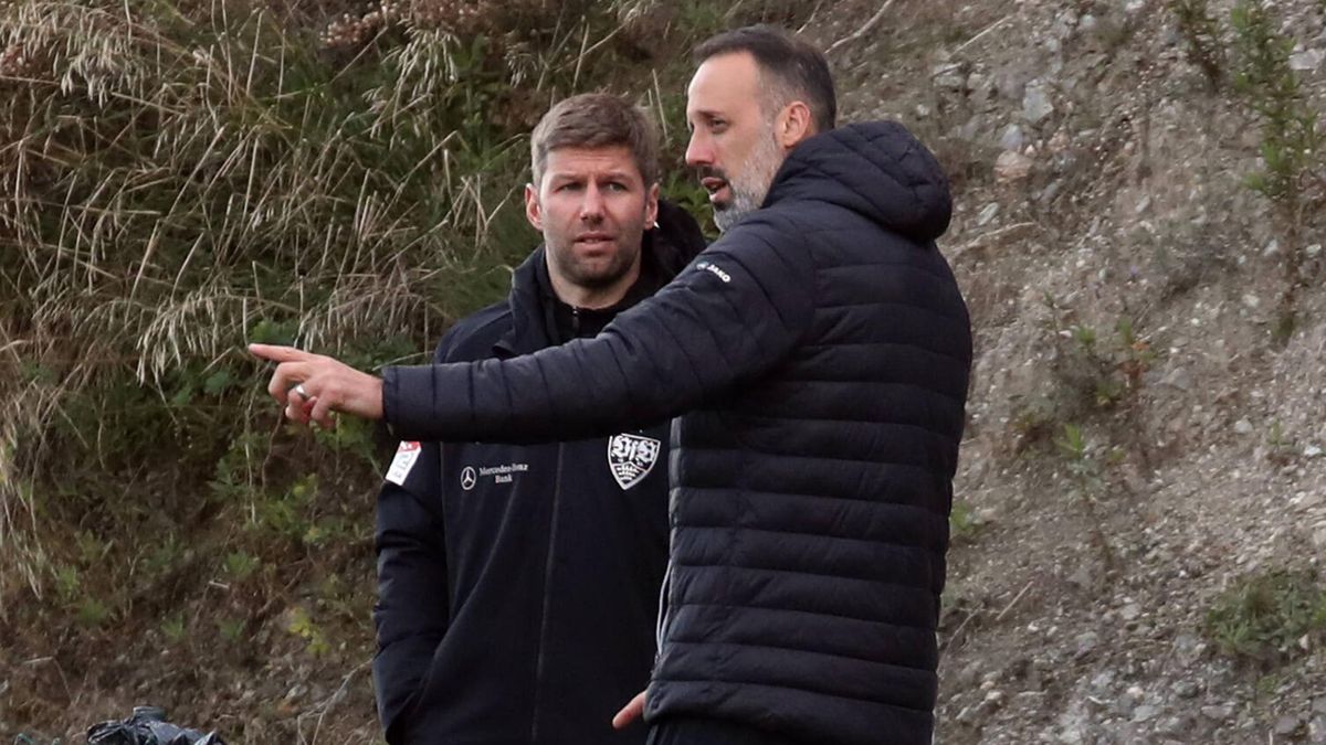 VfB Stuttgart: Trainer Pellegrino Matarazzo erhält Jobgarantie - Eurosport