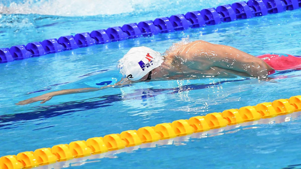 Natation - Championnats de France : Grousset domine le 50m, Bonnet s ...