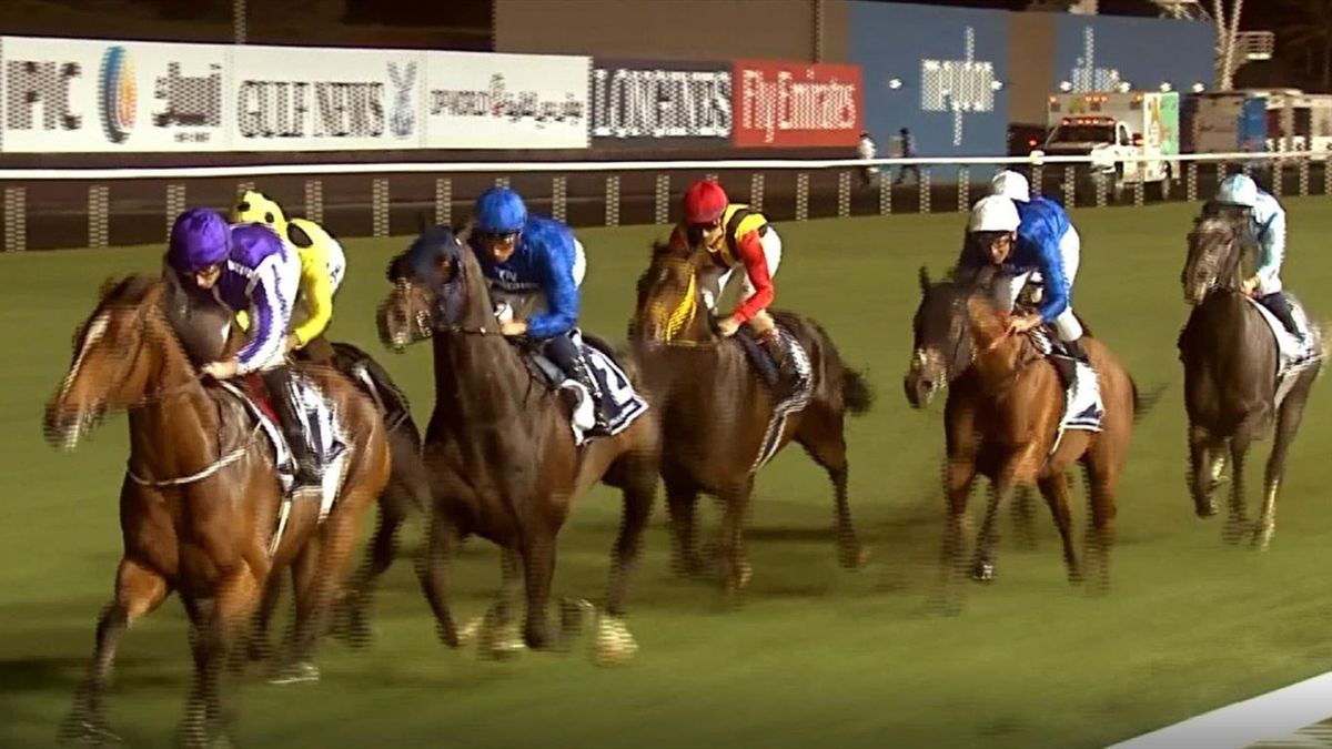Longines Race of the Week - Longines Dubai Sheema Classic - Eurosport
