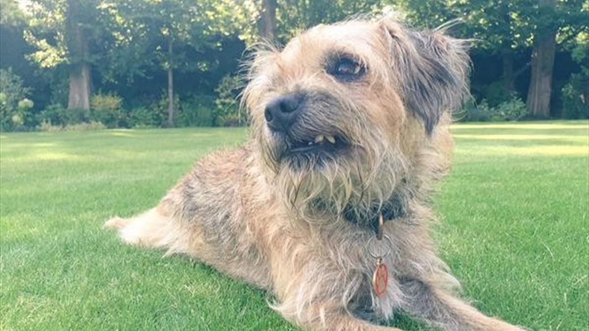 Andy Murray’s dog to become published author - Eurosport