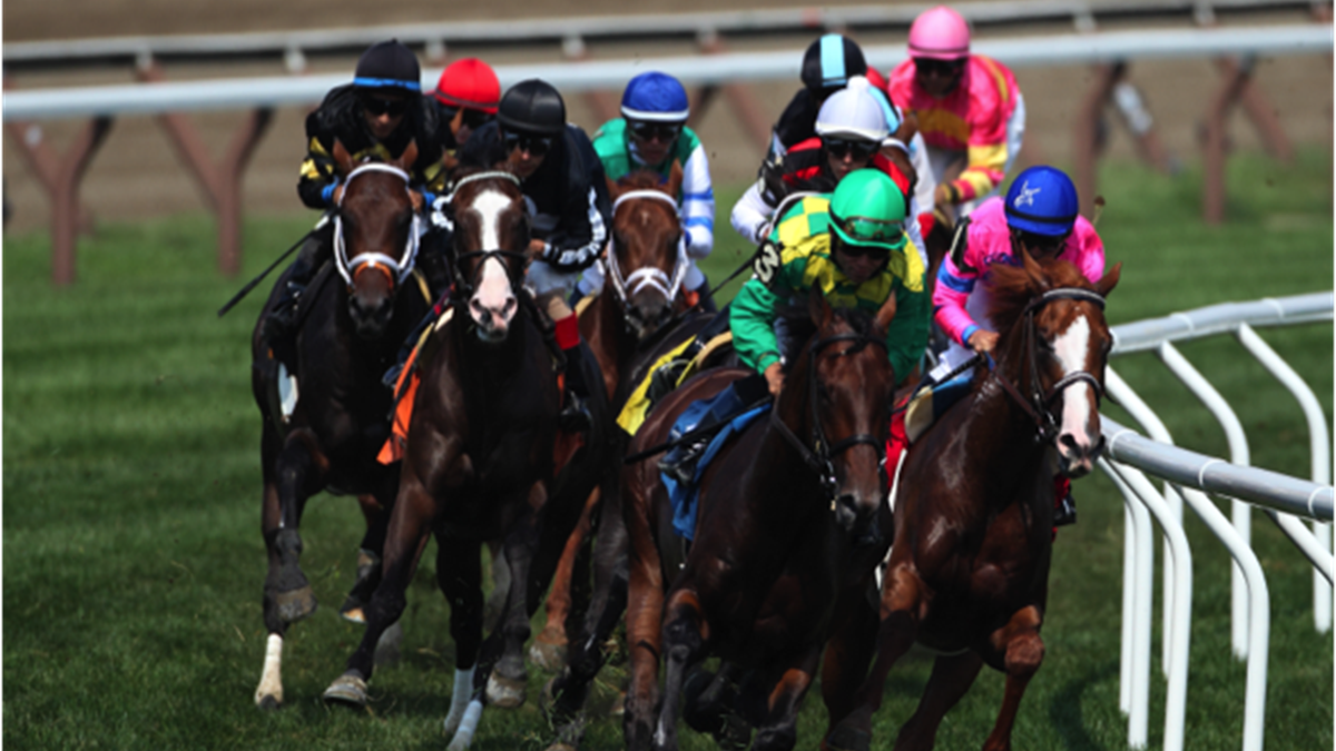 Carreras de caballos, mucho más que una competición - Eurosport
