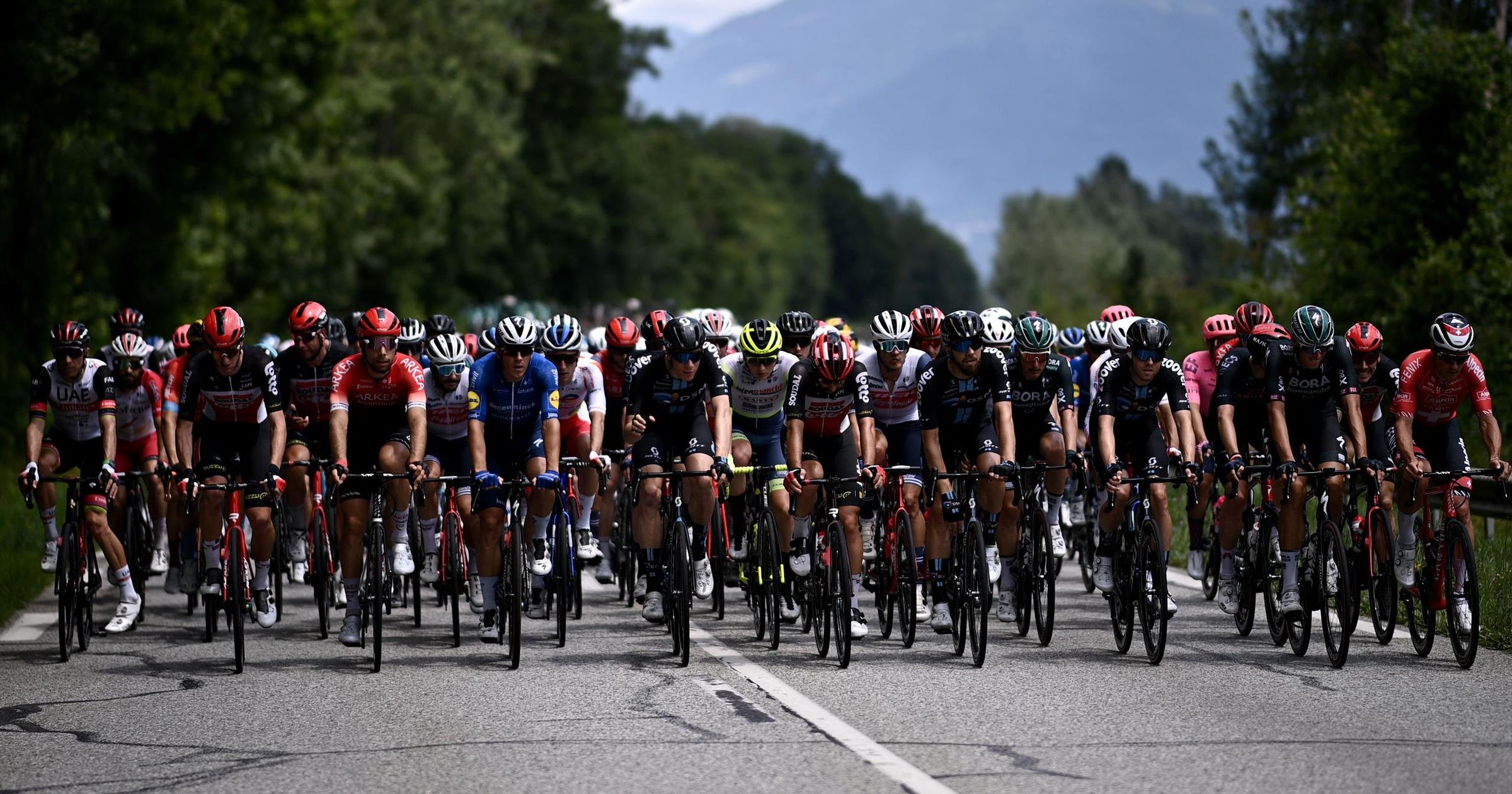 "Allez opi-omi" : La spectatrice à la pancarte du Tour de France ...