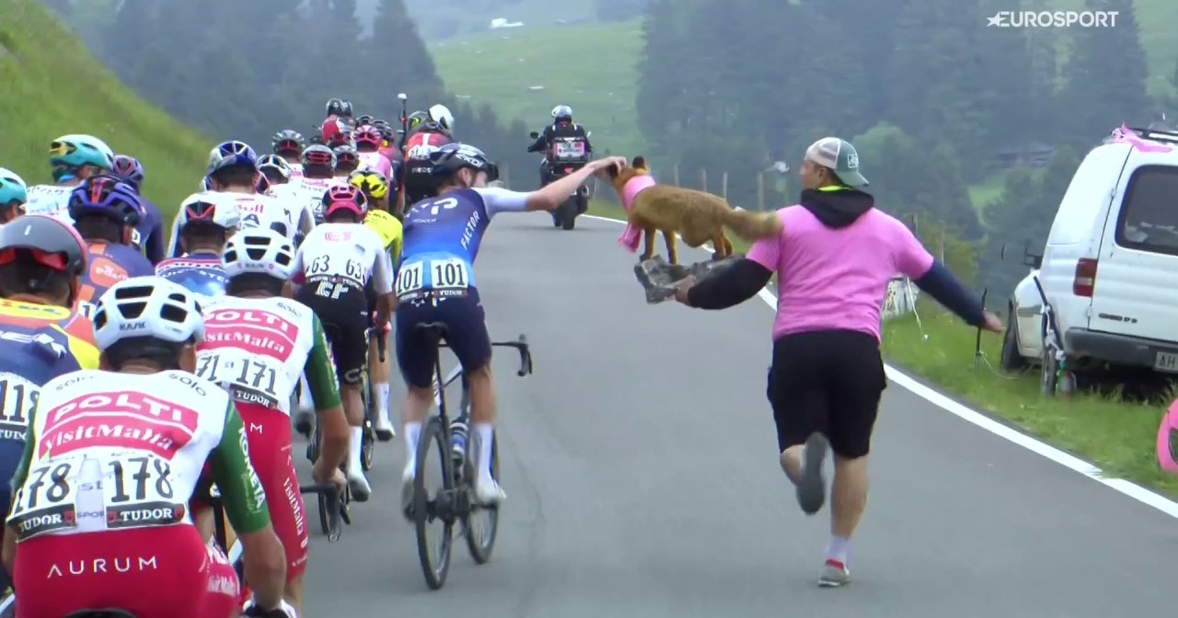 Derek Gee tranquillo sul Monte Grappa: accarezza una volpe impagliata ...