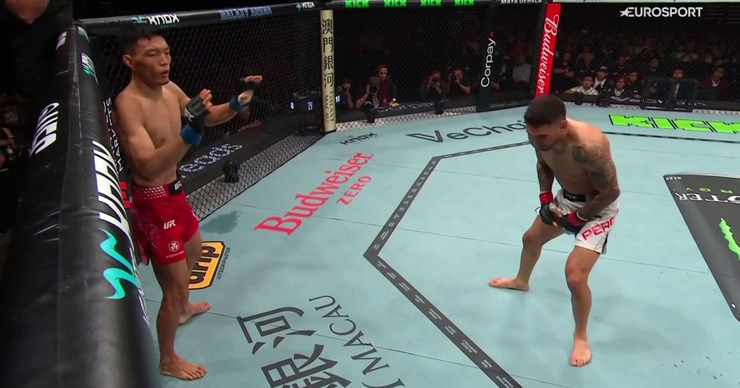 UFC Macau | Na een trap in gevoelige delen wordt het gevecht tussen ...