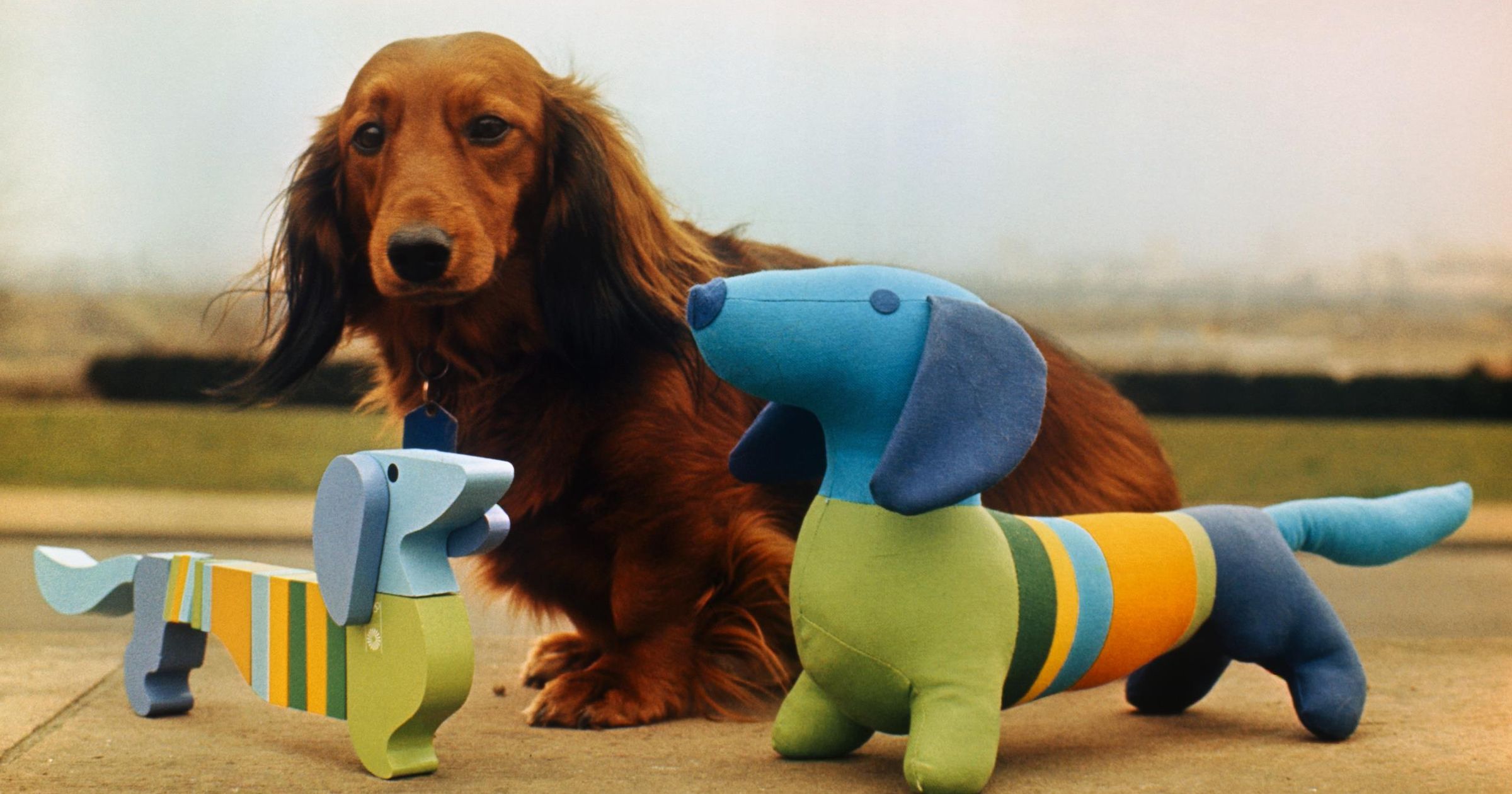 Olympia-Maskottchen der Sommerspiele: "Waldi" und seine Nachfolger ...