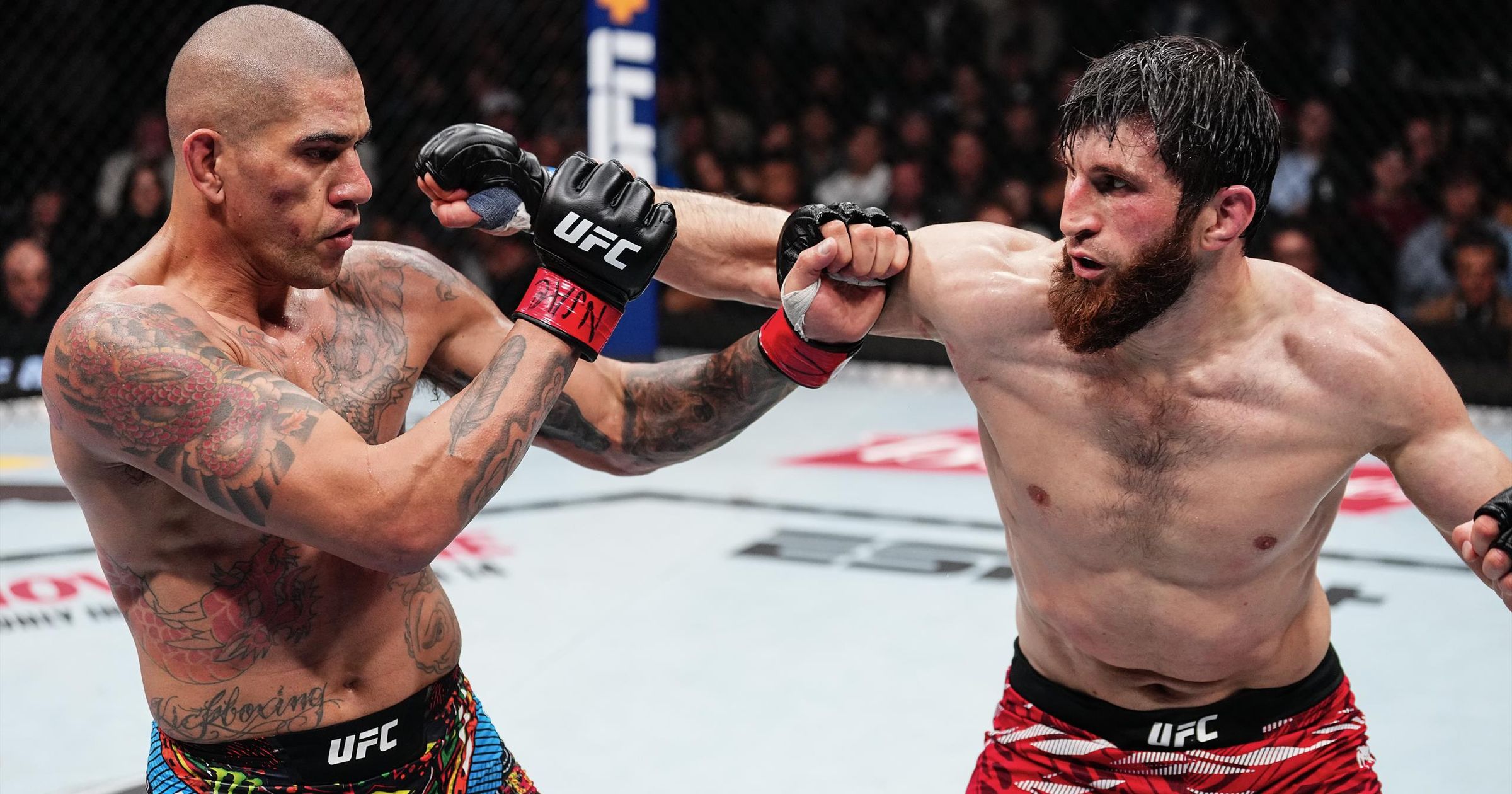 UFC 313 | Alex Pereira-Magomedov Ankalaev: Vídeo resumen, mejores ...