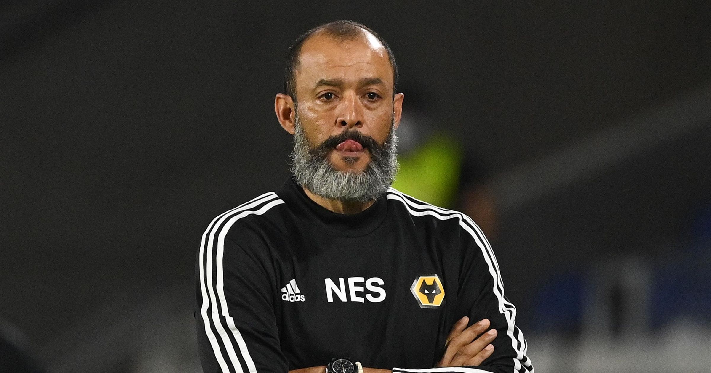 Wolves managers store