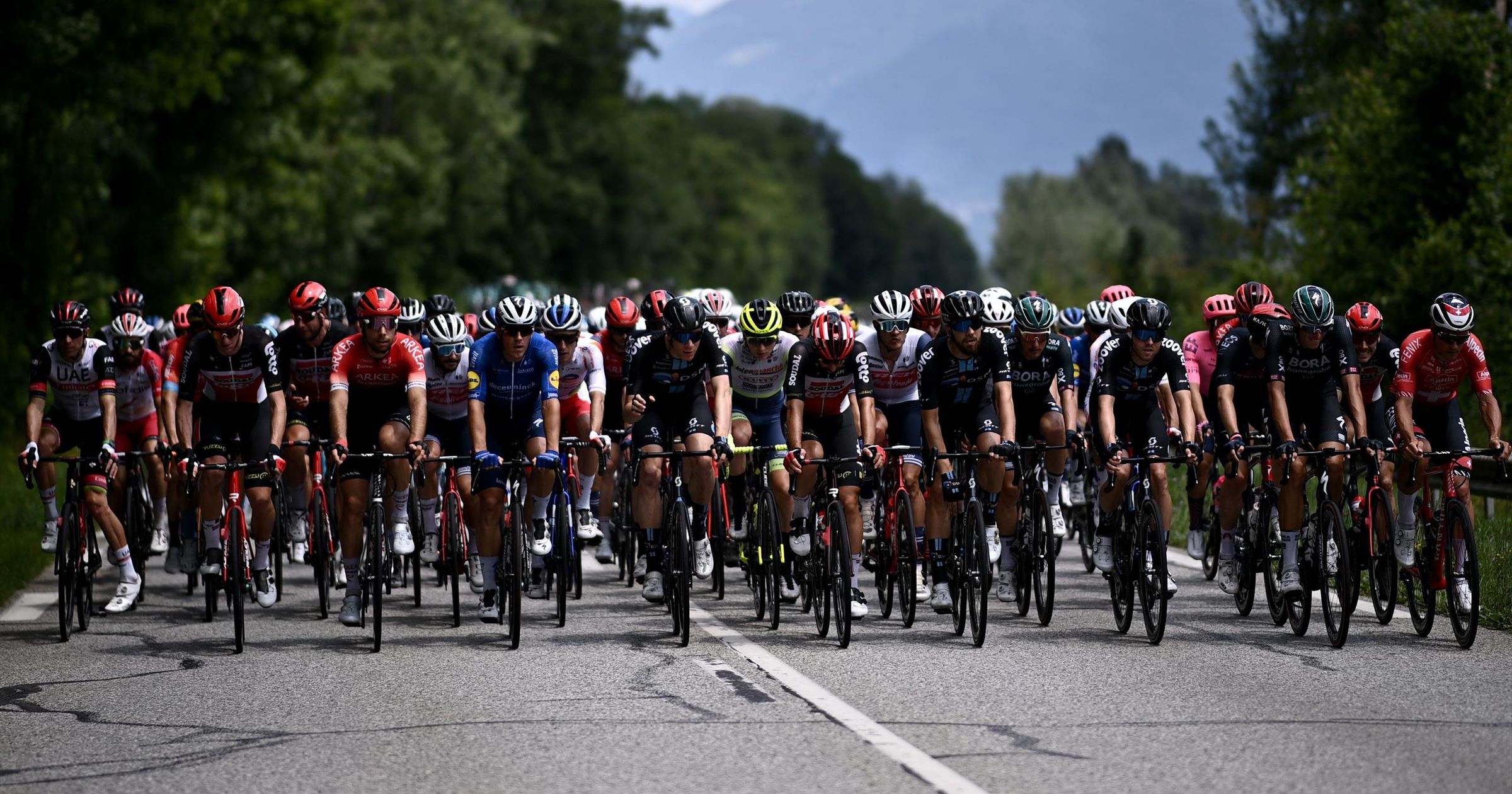 "Allez opi-omi" : La spectatrice à la pancarte du Tour de France ...