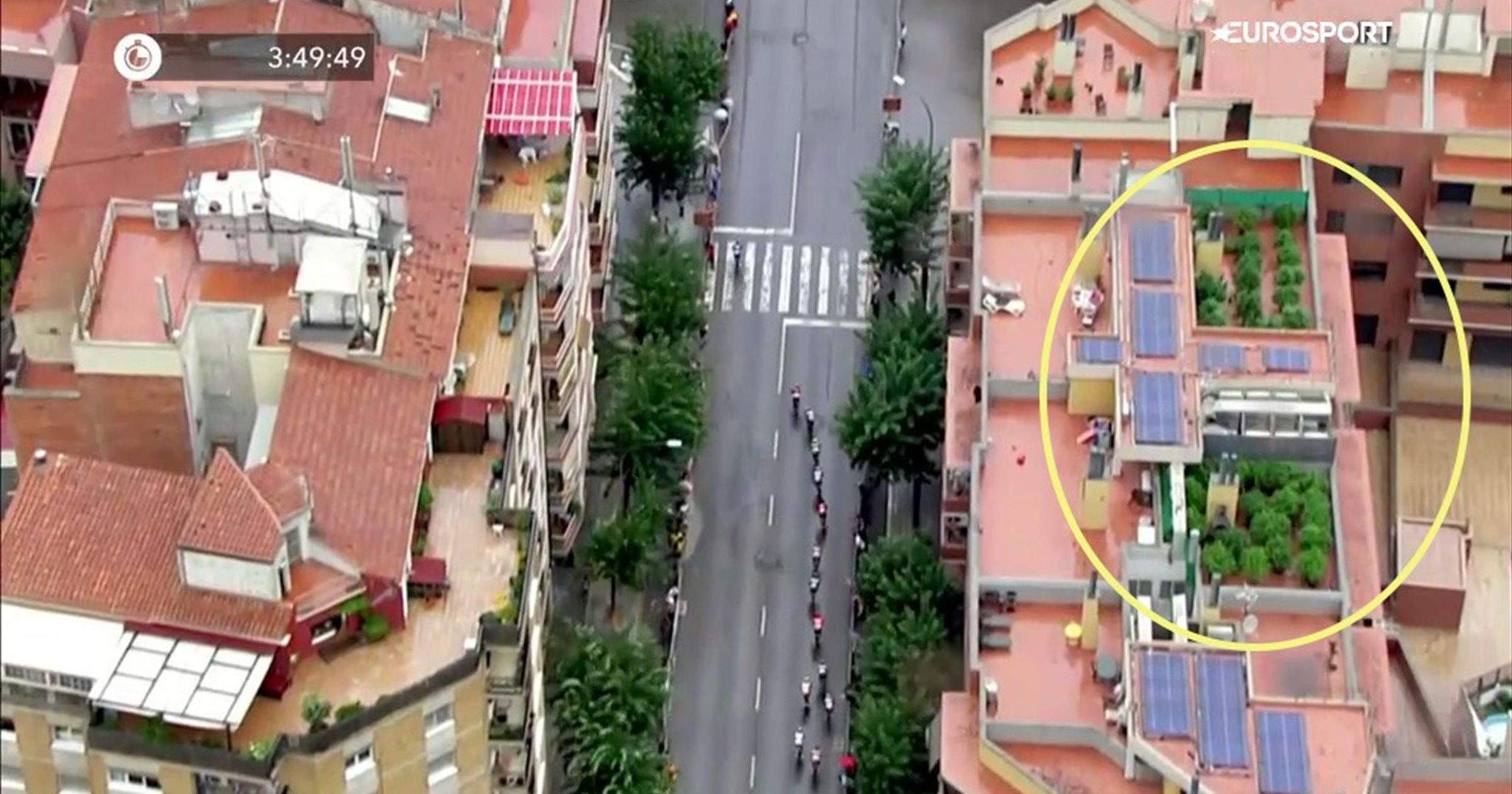 Scoperta una coltivazione di marijuana sul tetto con le riprese dell ...