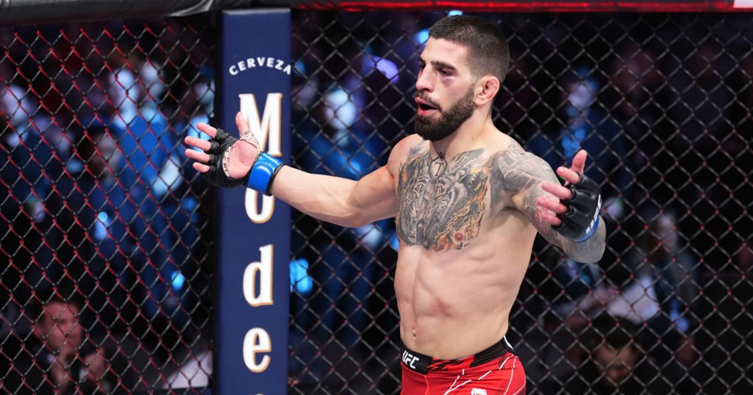 Dónde ver UFC hoy en España | Carteleras, calendario y eventos ...