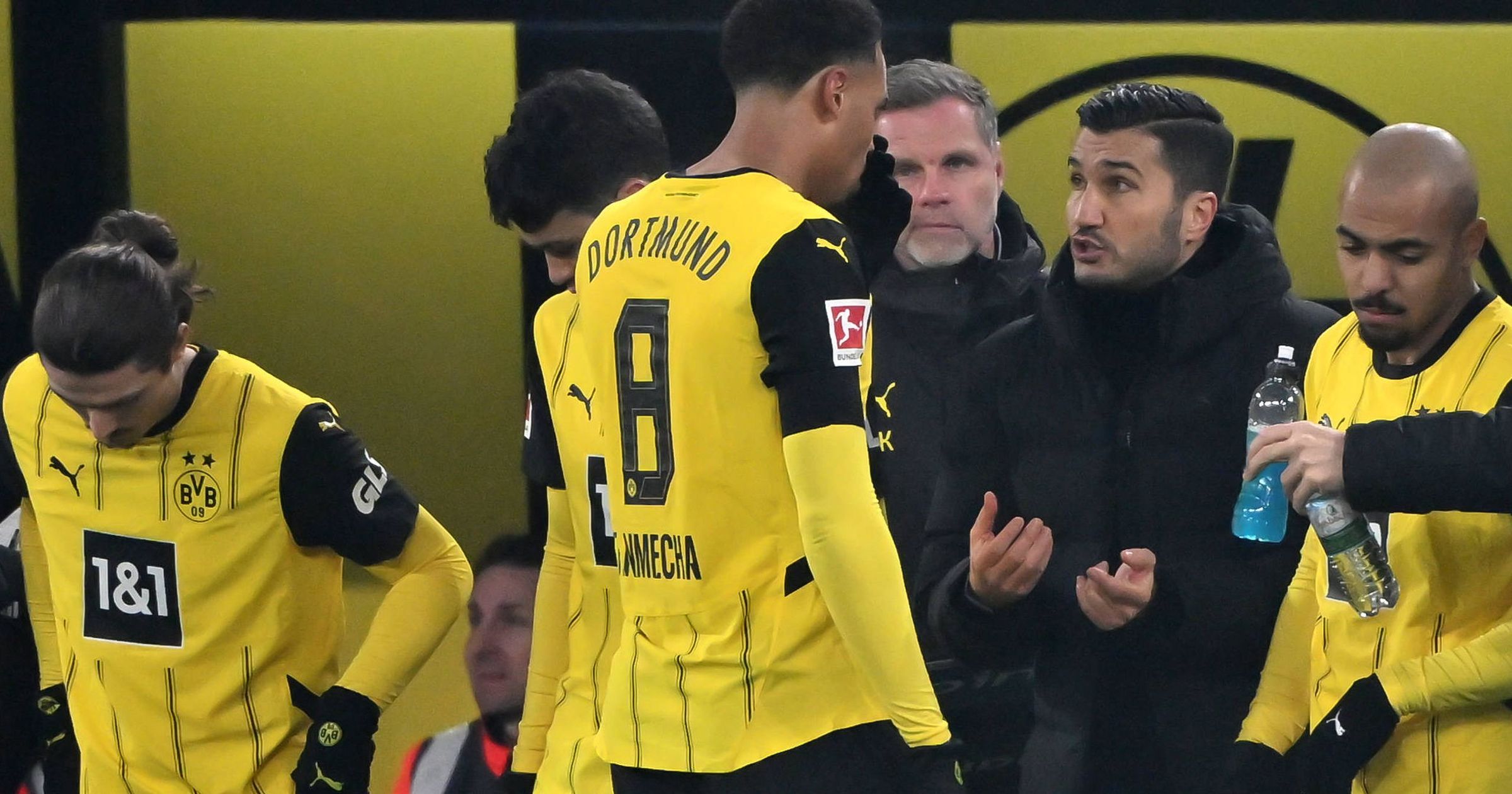 BVB - die Demontage einer Spitzenmannschaft: Der LIGAstheniker sieht ...