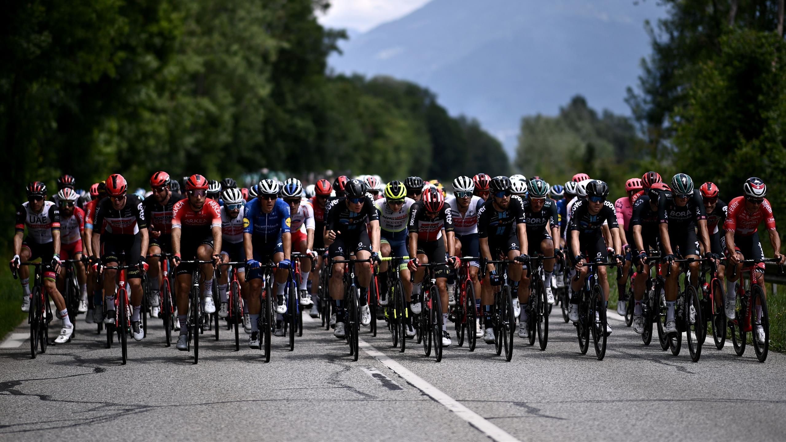 "Allez opi-omi" : La spectatrice à la pancarte du Tour de France ...