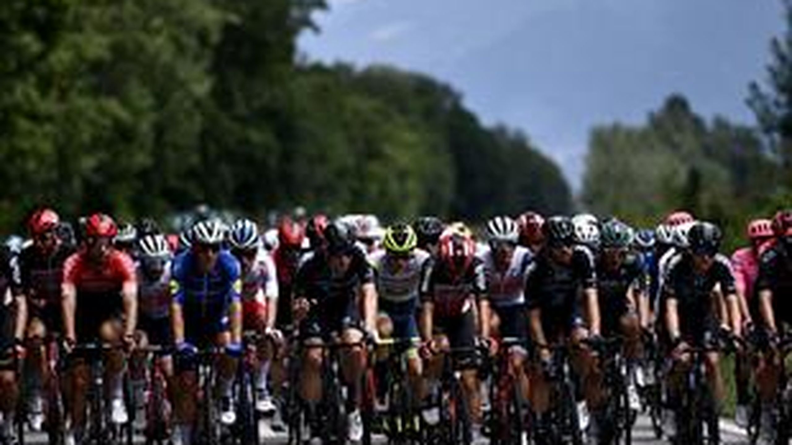 "Allez opi-omi" : La spectatrice à la pancarte du Tour de France ...