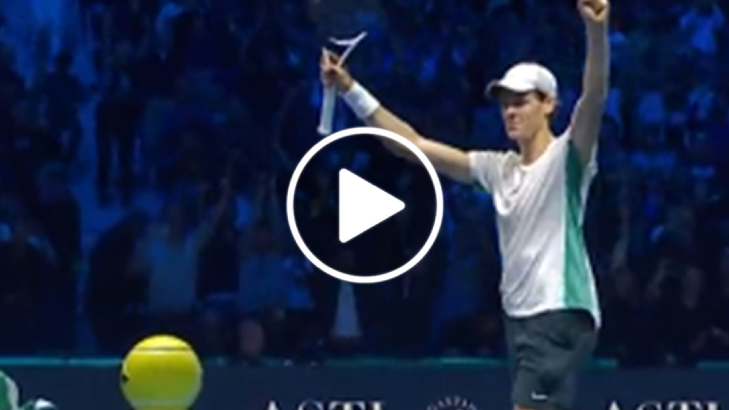 VIDEO - L’urlo dei 15.000 di Torino e l'esultanza: il match point che ...