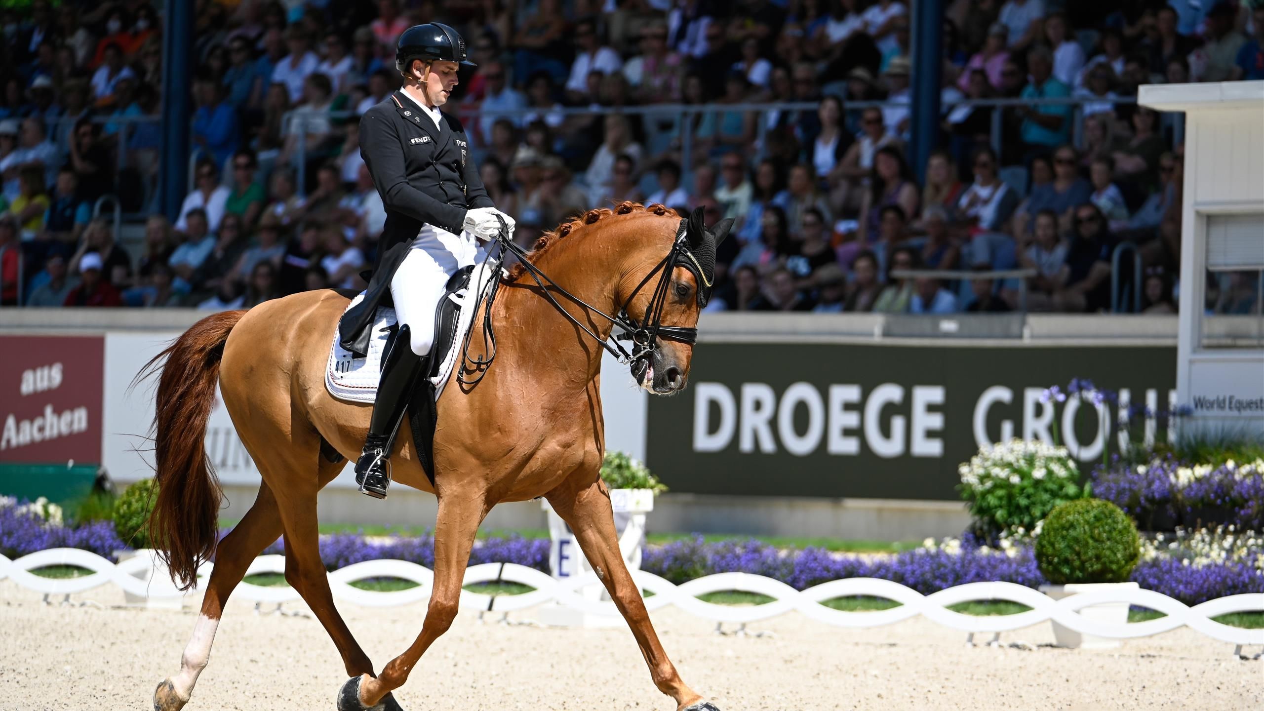 Nach 20 Jahren: Reitsport-WM 2026 wieder in Aachen - "Ein tolles ...