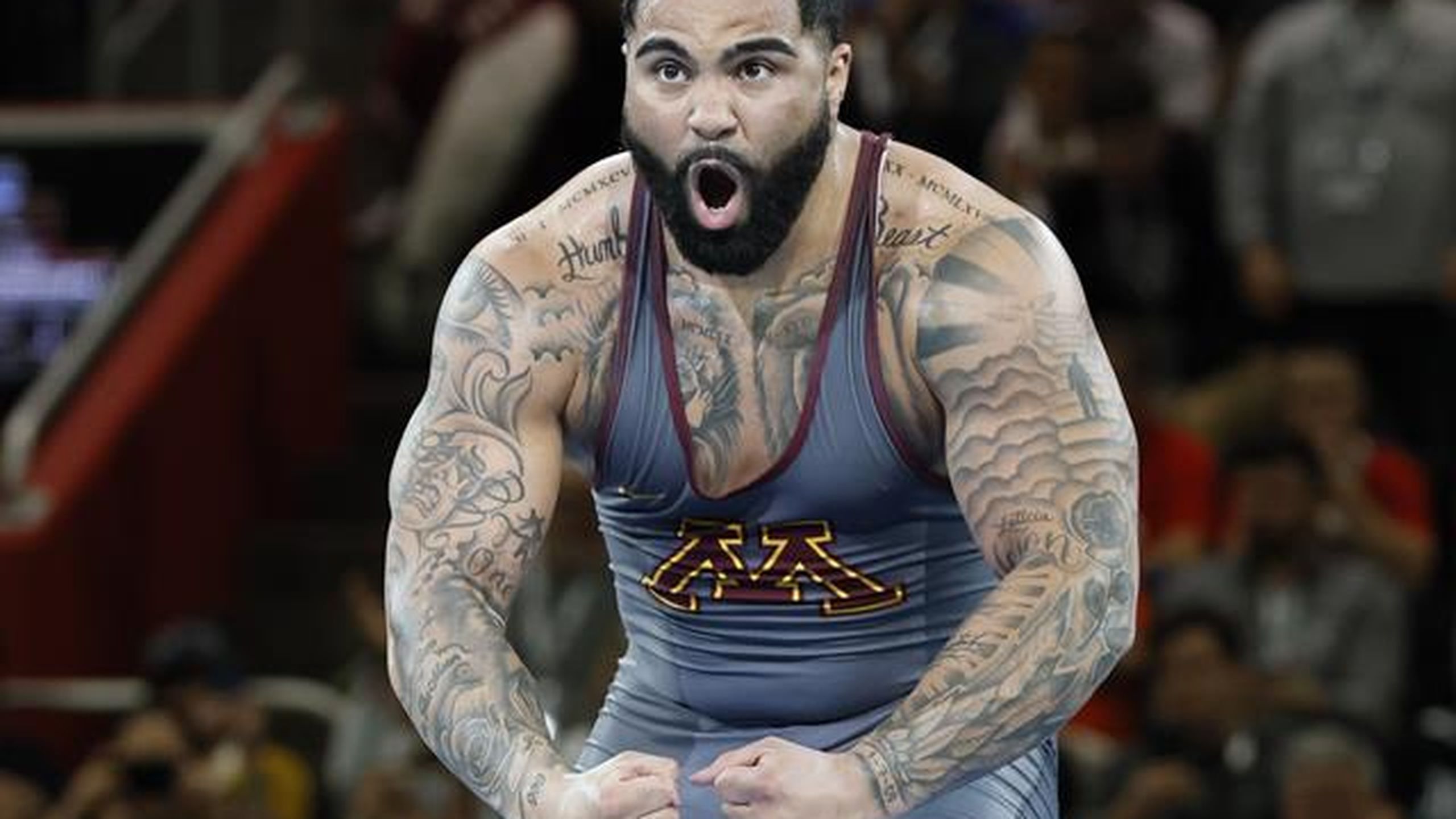 NFL: Buffalo Bills holen Ringer-Olympiasieger Gable Stevenson ...