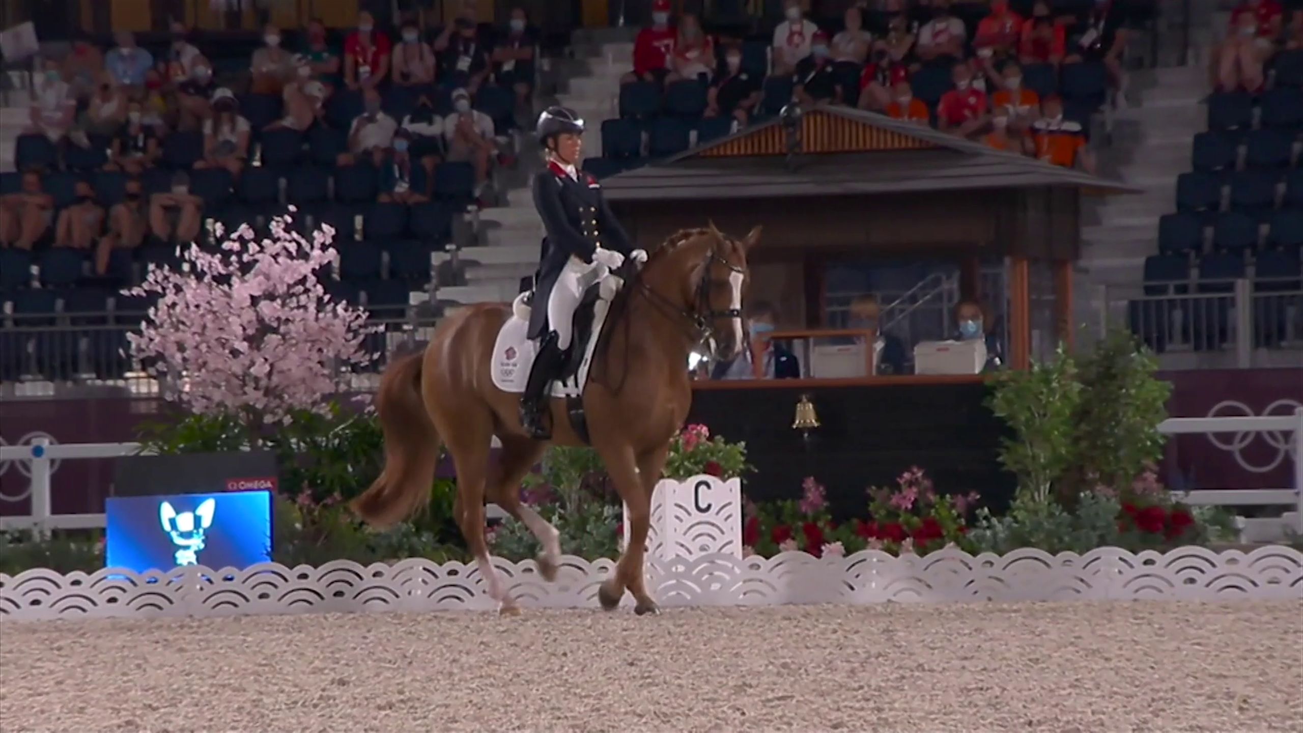 Sport explainer: regole, punteggi e tutti i segreti del Dressage - Equitazione video - Eurosport