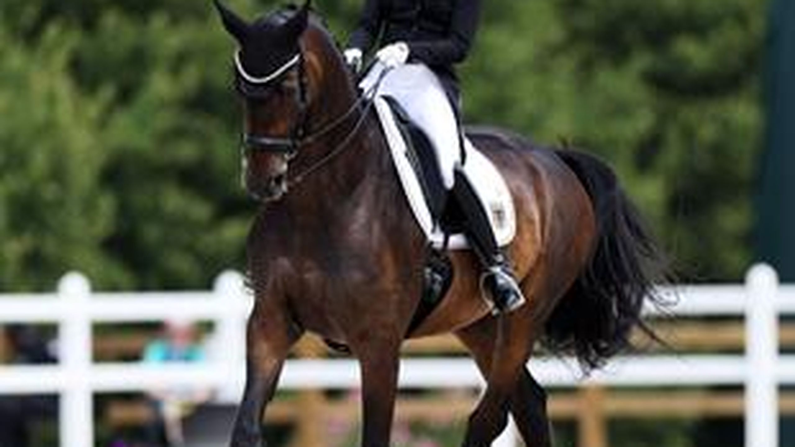 Reiten bei Olympia - So lief die Dressur-Qualifikation: Bredow-Werndl ...