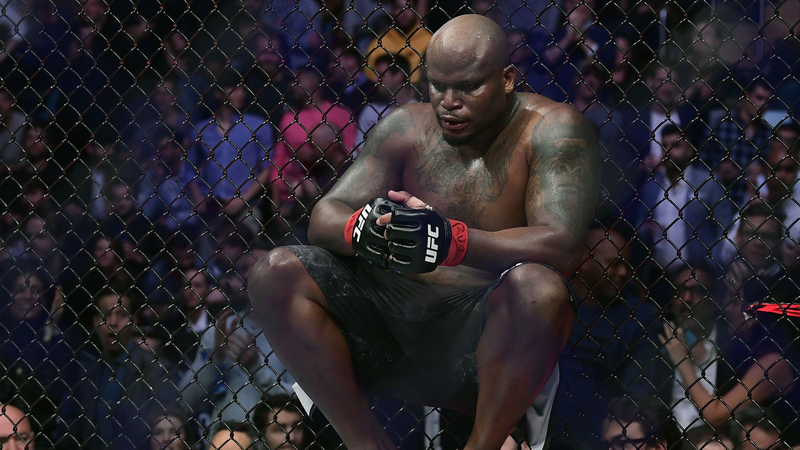 UFC Edmonton | Lewis van het evenement gehaald om medische redenen ...