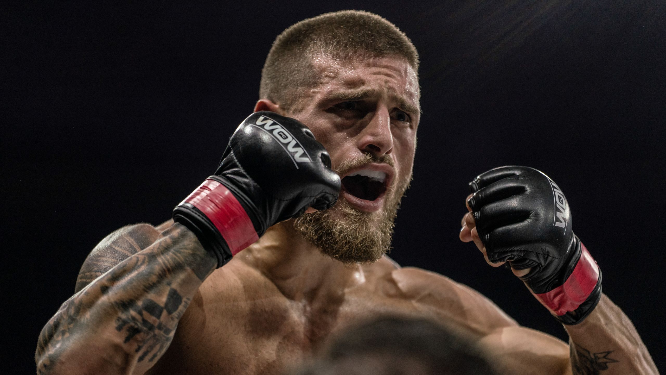 Es oficial: Aleksandre Topuria ya es peleador UFC y debutará en Sídney ...