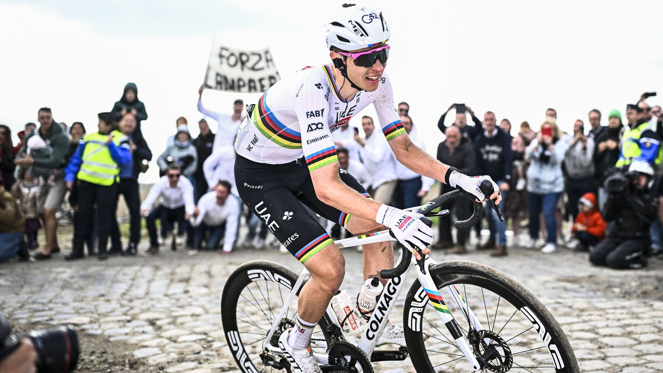 Cyclisme - Paris-Roubaix, Tour des Flandres (saison 2026) : Tadej ...