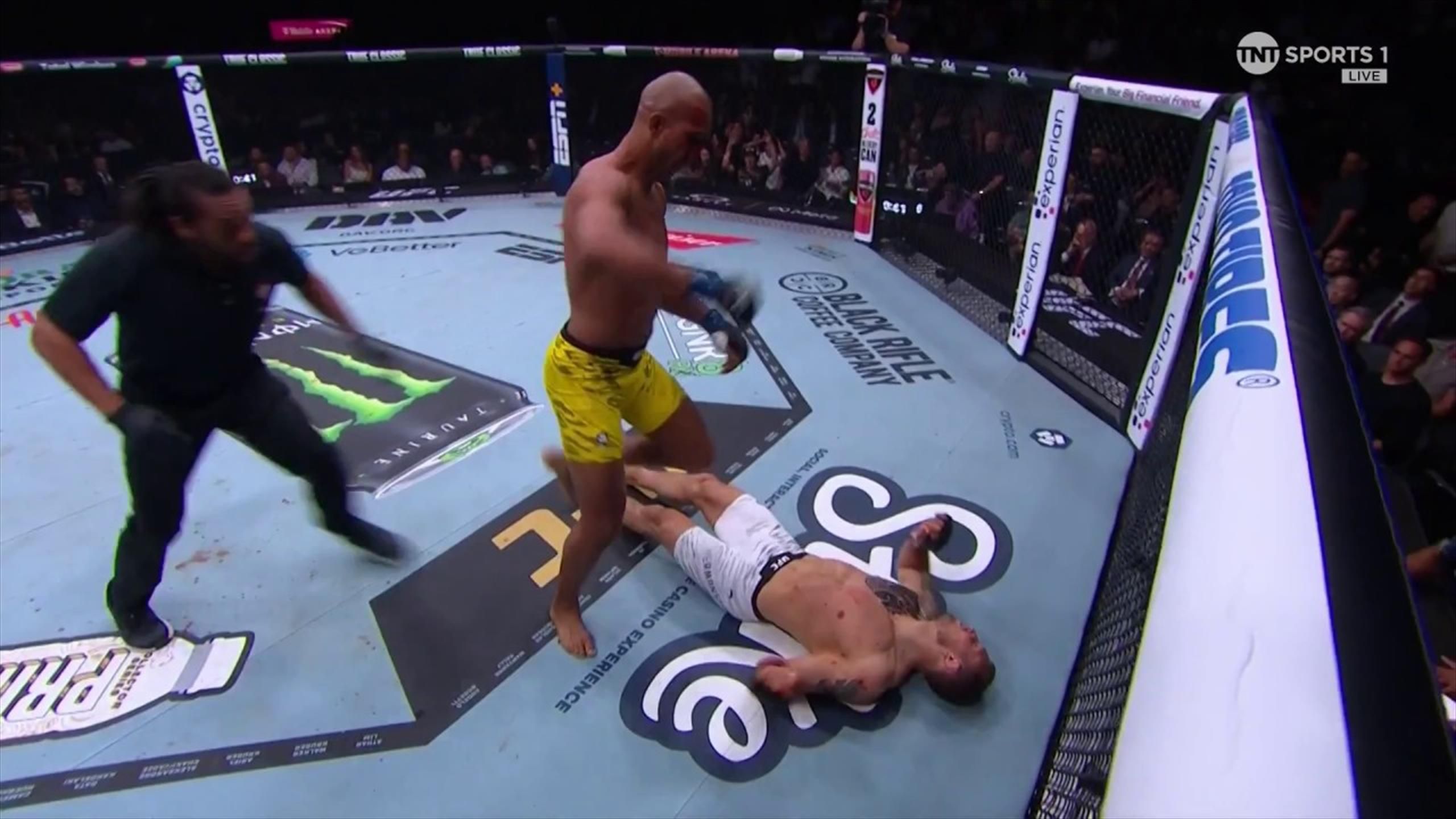 UFC 317 | Un KO de los que pone los pelos de punta: Gregory Rodrigues ...