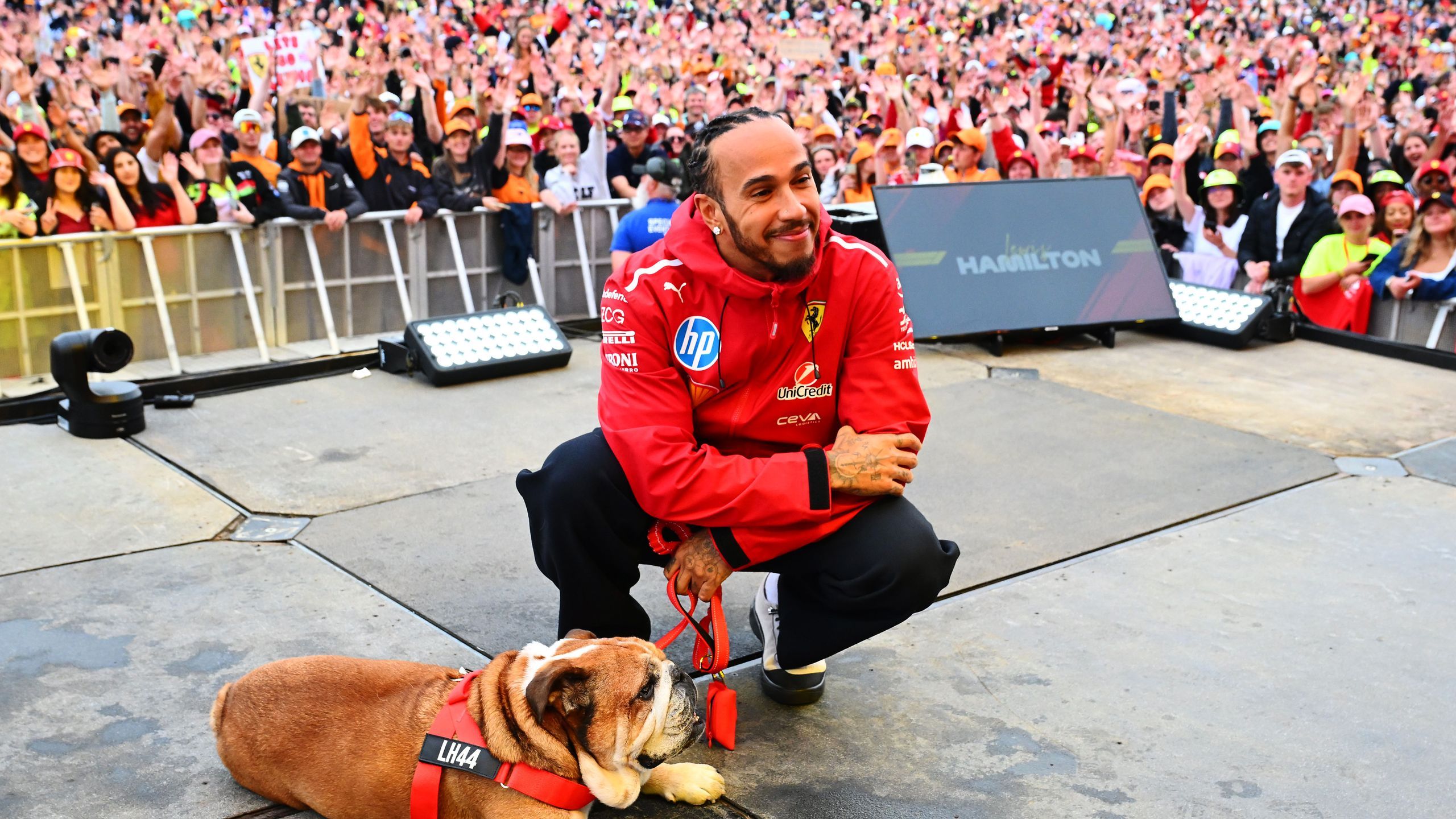 Na vier dagen gevochten te hebben is de hond van Hamilton overleden – “Roscoe stierf in mijn ...