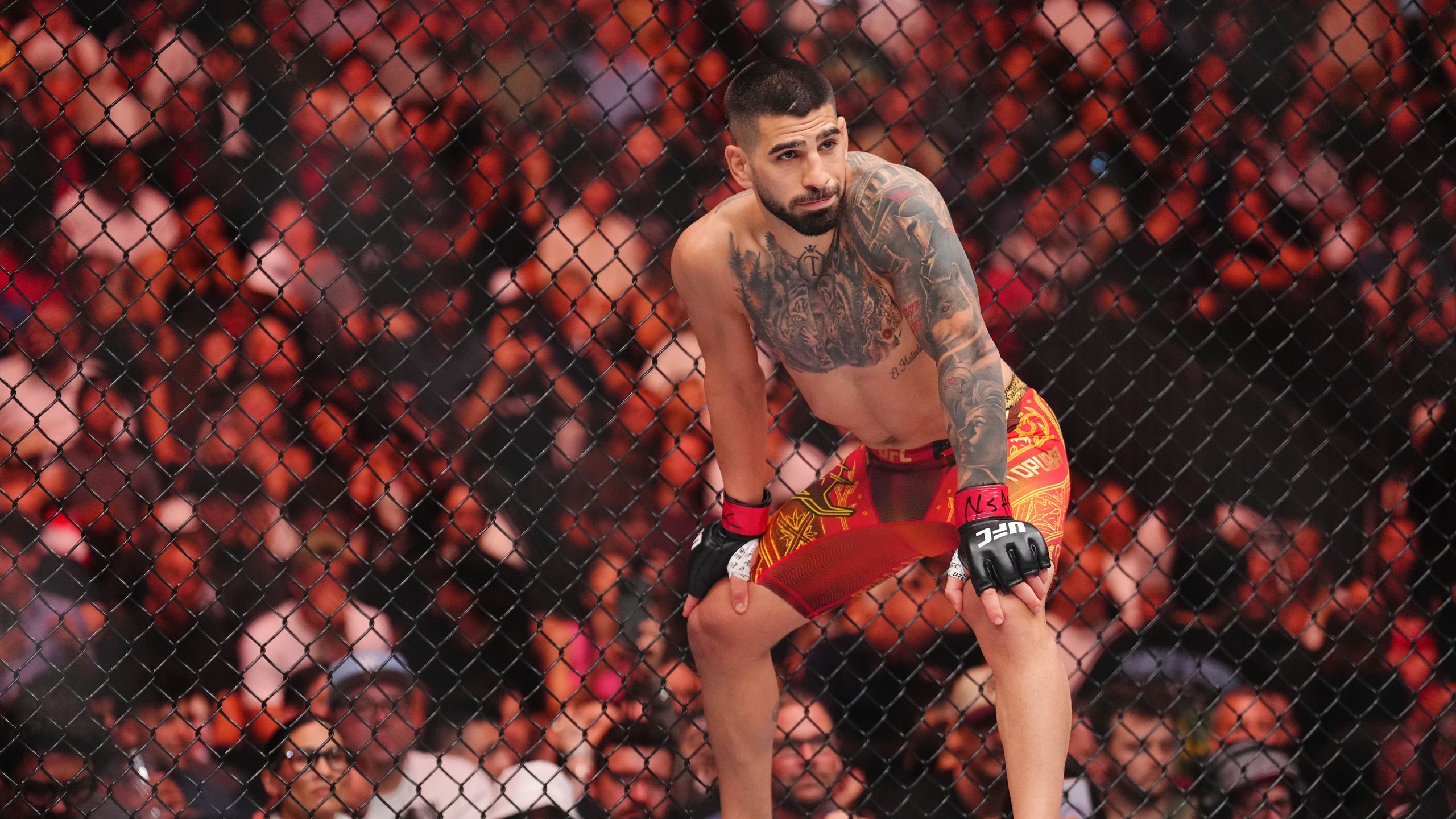 UFC | Omar Montes mete la pata y da la pista definitiva sobre el ...