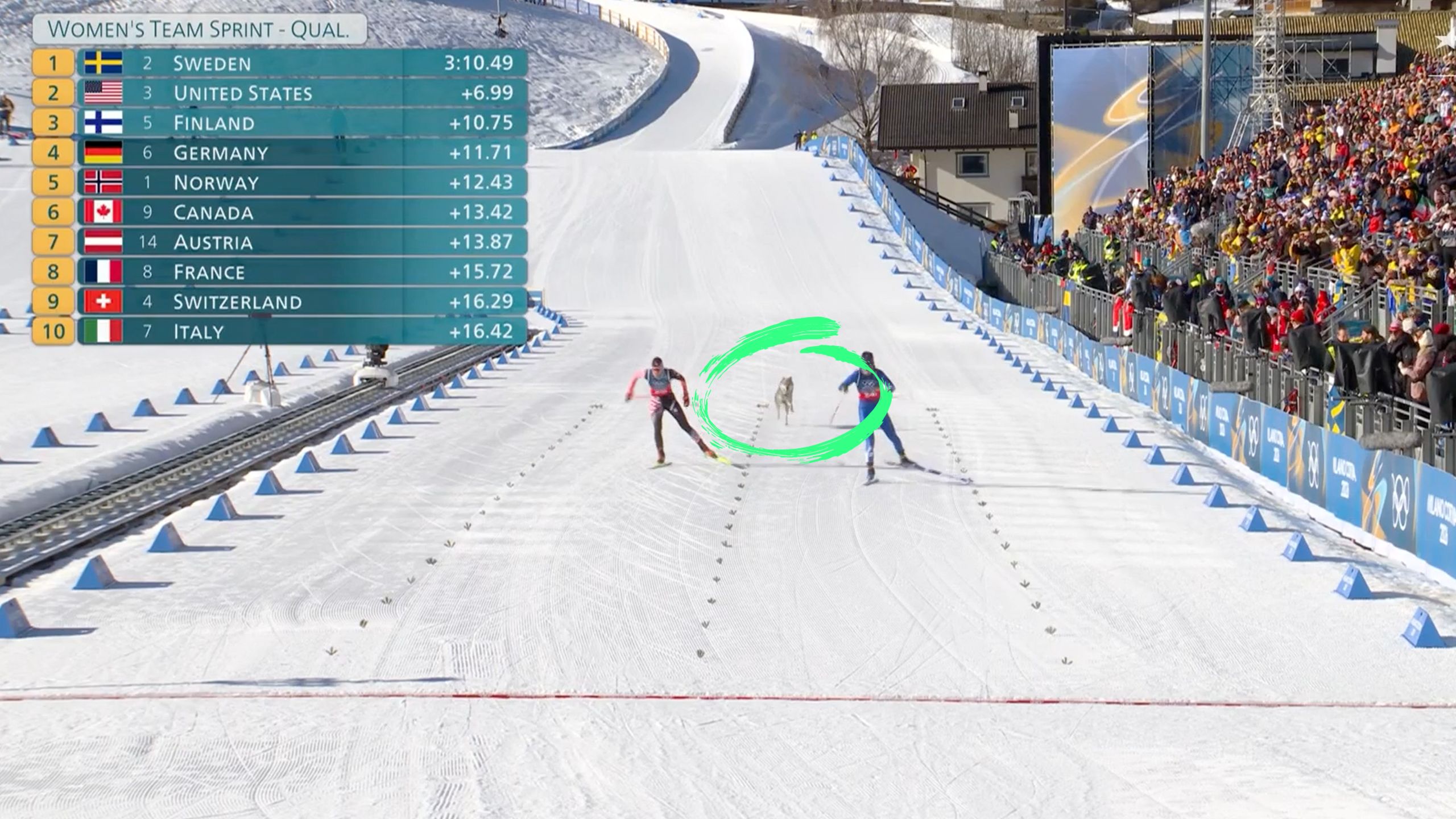 Vinter-OL Milano Cortina 2026: Vildfaren hund løber ind på ...