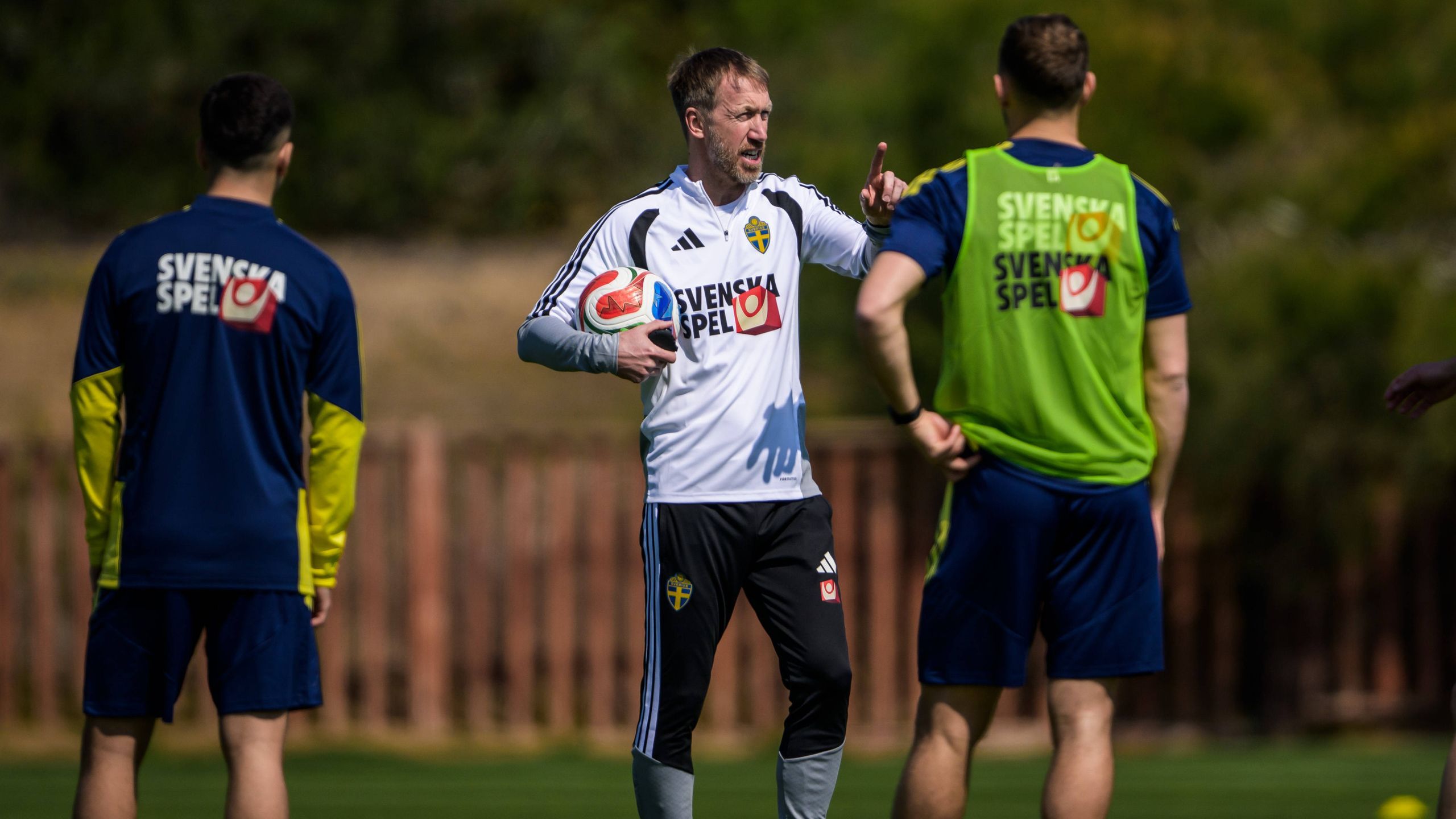 Selekcjoner Szwedów Graham Potter wybrał bramkarza na mecz z Ukrainą w ...