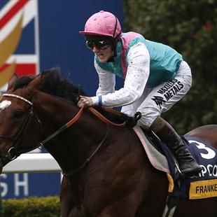 Frankel starts his new life as super stud - Eurosport