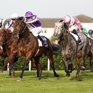 Magna Grecia gewinnt trotz Doncaster-Kontroverse - Eurosport