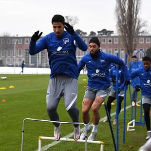 Sami Khedira wechselt zu Hertha BSC: Arne Friedrich erklärt den ...
