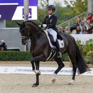 Dressur-EM: Isabell Werth auch in der Kür Dritte, Belgier Justin ...