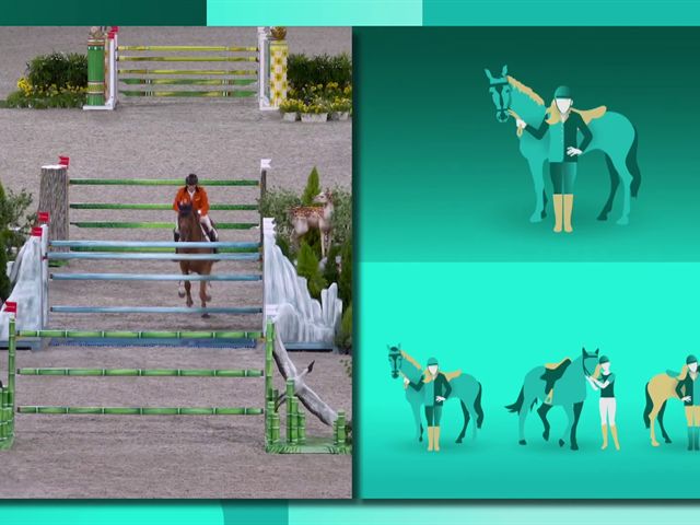 Sport explainer: regole, punteggi e tutti i segreti del Salto Ostacoli - Equitazione video ...