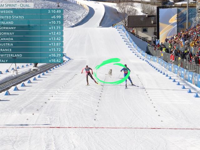 Vinter-OL Milano Cortina 2026: Vildfaren hund løber ind på ...